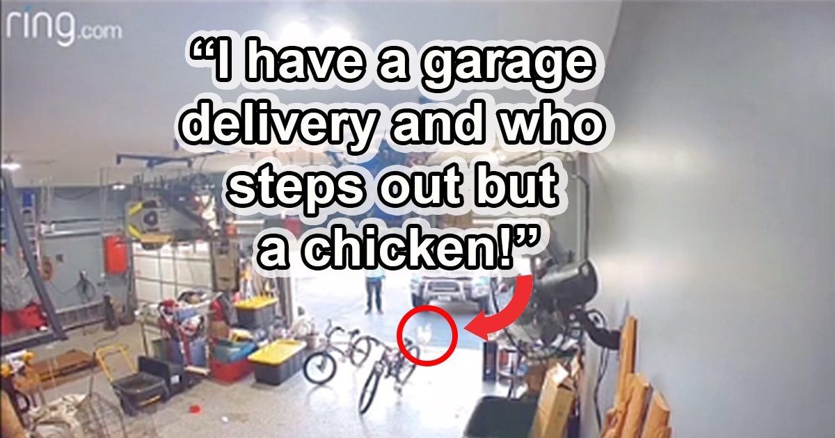 Memebase - delivery man - All Your Memes In Our Base - Funny Memes ...