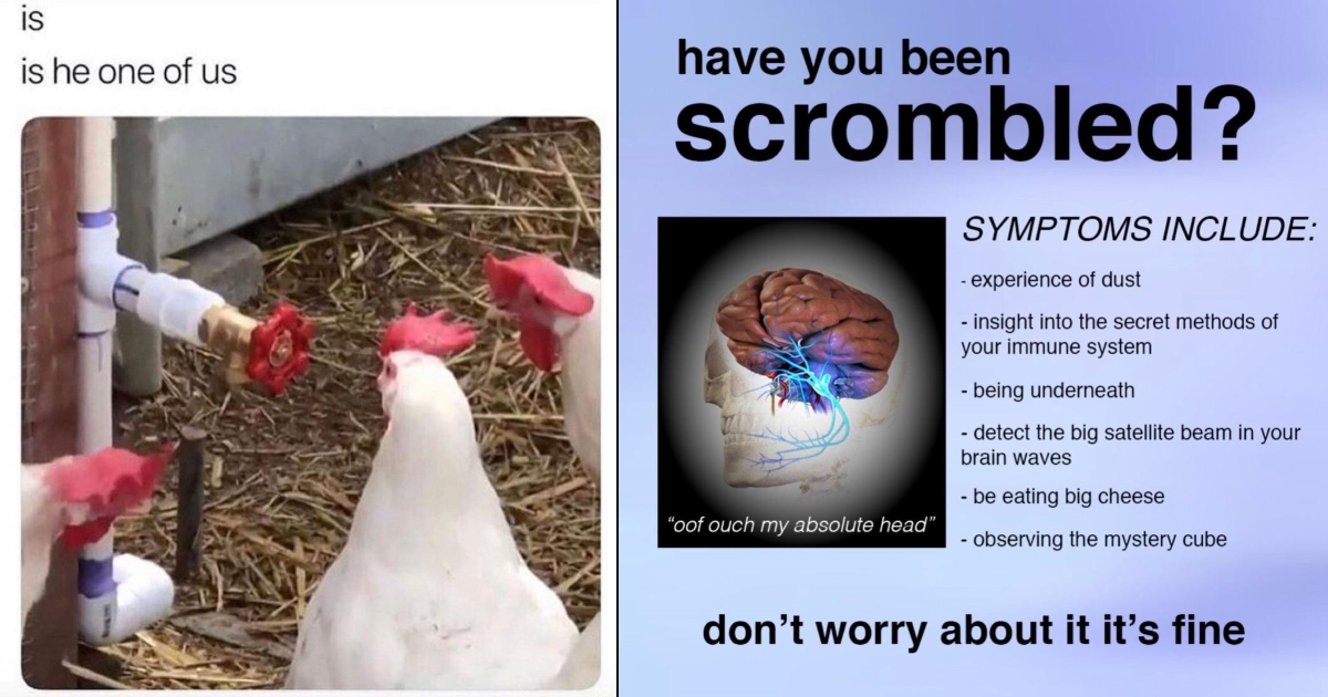 A Procession of Memes That Send Their Condolences - Memebase - Funny Memes