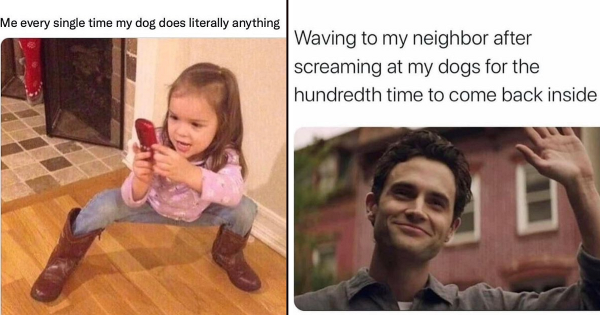 Bridging The Gap Between Work Week And Weekend With Doggo Related Memes ...