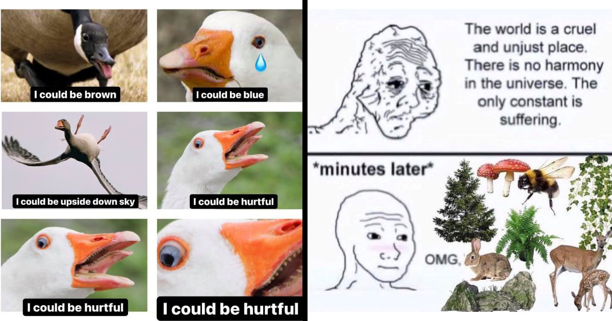 Memebase - evolution - All Your Memes In Our Base - Funny Memes ...