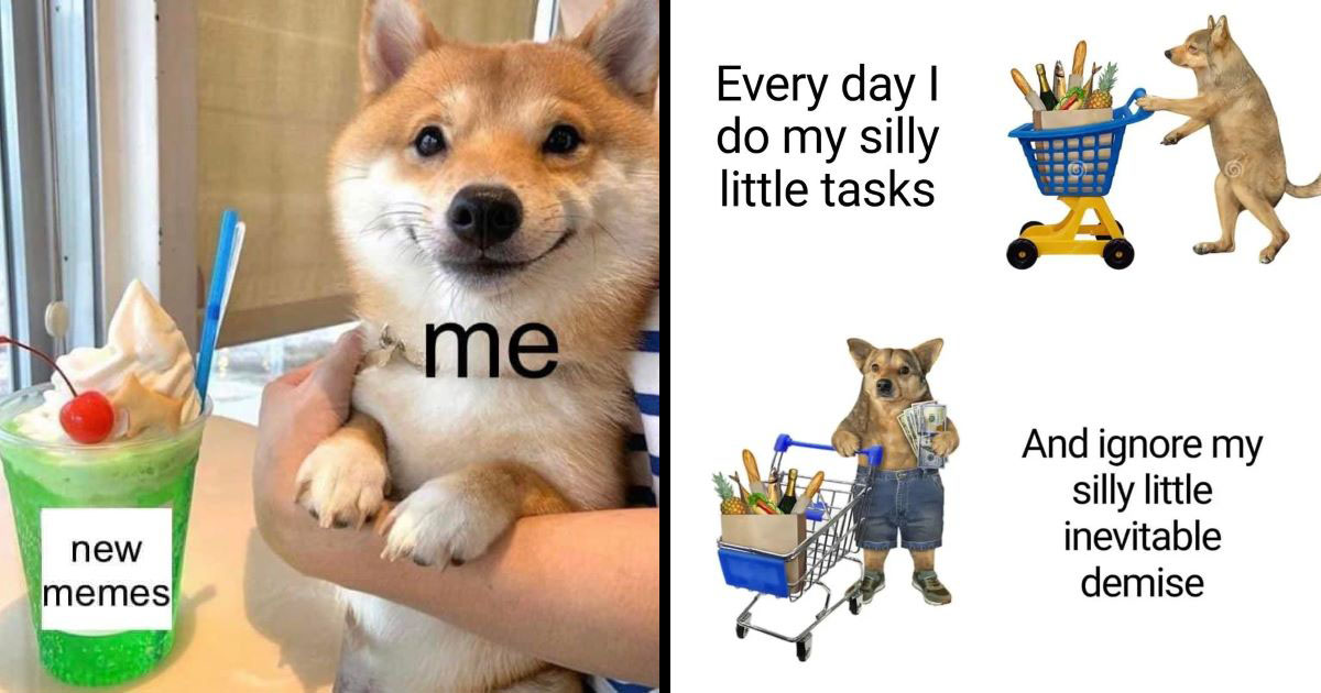 Dog Memes For Shaggy Dog Stans - Memebase - Funny Memes