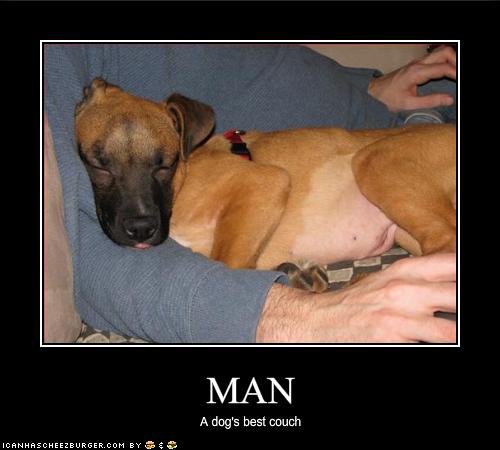 MAN - I Has A Hotdog - Dog Pictures - Funny pictures of dogs - Dog ...