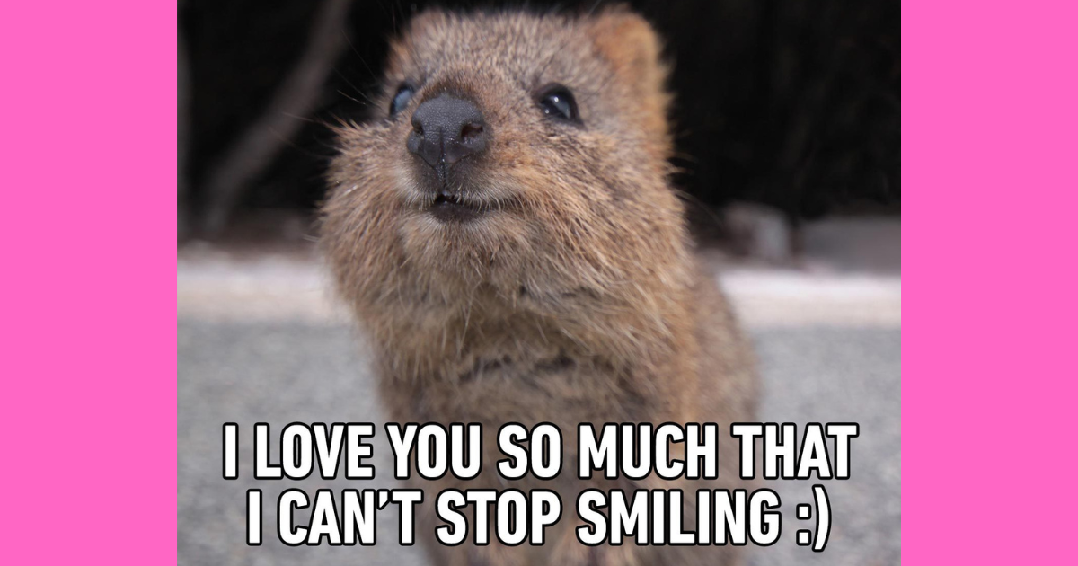 Love Memes Of The Week For All The Cozy, Cuffed Up Couples Out There ...