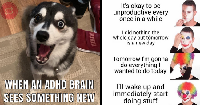 Best ADHD Memes To Concentrate On Instead Of Your Boring Daily Tasks ...