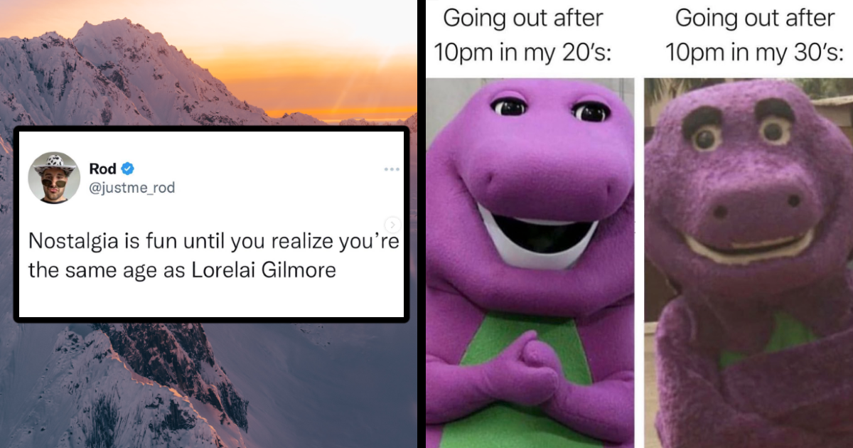 Silliest Memes for People Who Rocked Zig Zag Parts in the 90's But Need ...