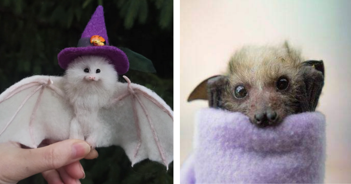 Change The Narrative: 21 Pictures and Videos That Will Change The Way ...