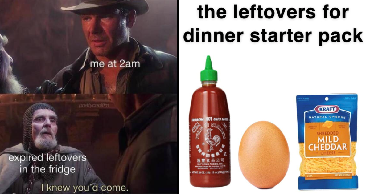 Funniest Memes About Leftovers for Anyone Raiding the Fridge - Memebase ...