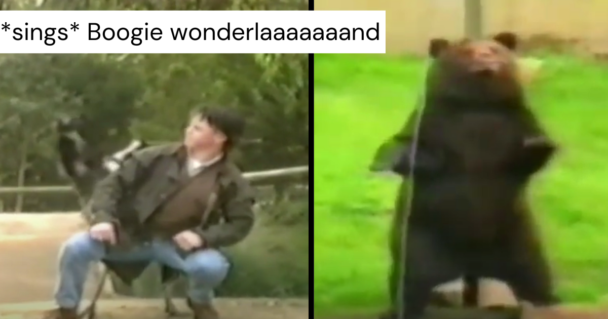 Vintage Video Of Dancing Animals Perfect To Prepare You For New Year's ...