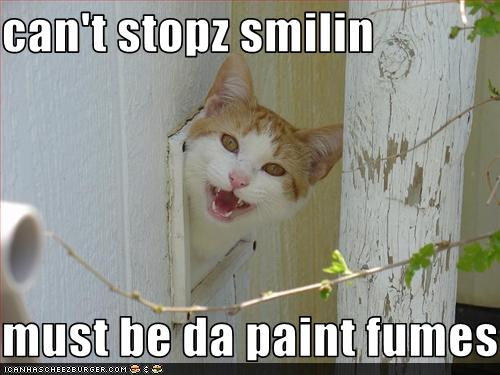 can't stopz smilin must be da paint fumes - Cheezburger - Funny Memes ...