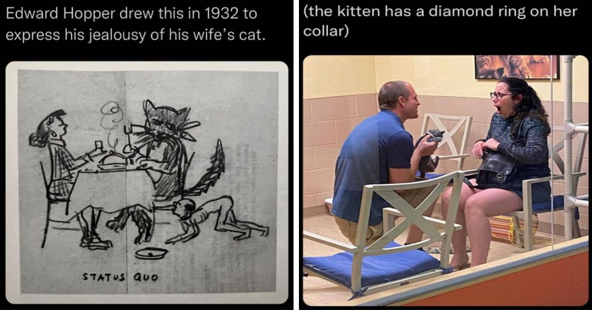 Funny Cat Memes To Scroll Through With A Serious Expression While ...