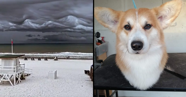 ‘My Brain Is Glitching’ : 18 Strange and Unusual Perspectives by ...