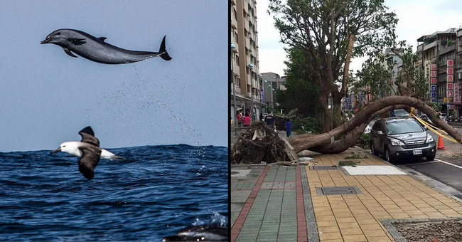 ‘What Are the Odds?’ : Funniest Blursed Images That Prove Nothing Is ...