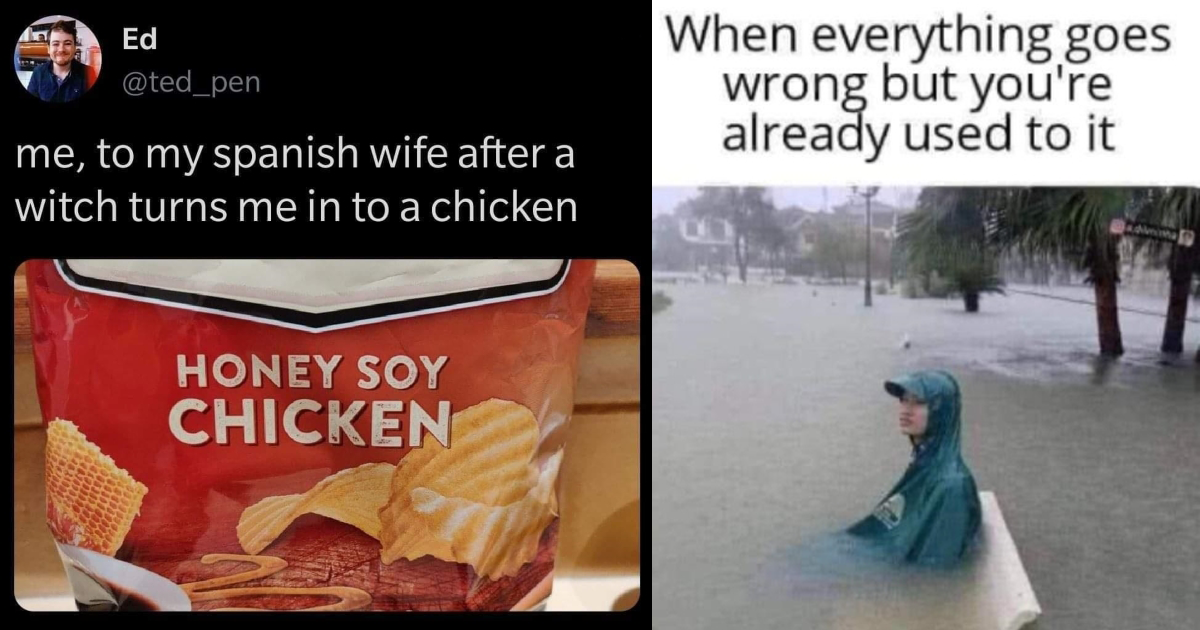 A Rollicking Rollercoaster of Random Memes - Memebase - Funny Memes