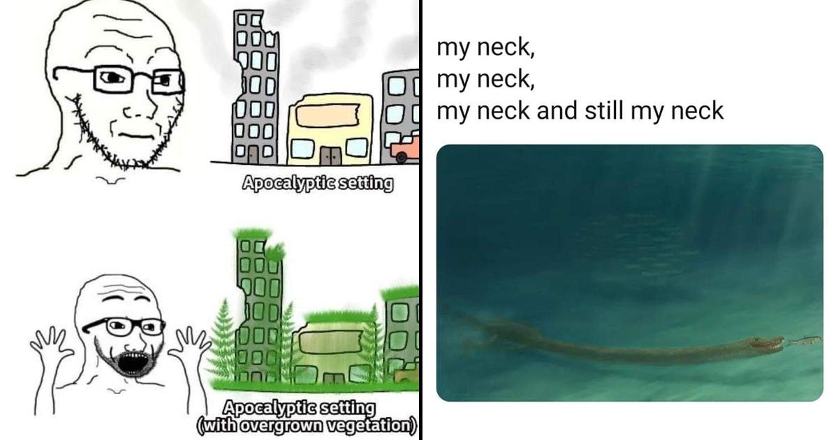 A Random Act of Curated Memes - Memebase - Funny Memes