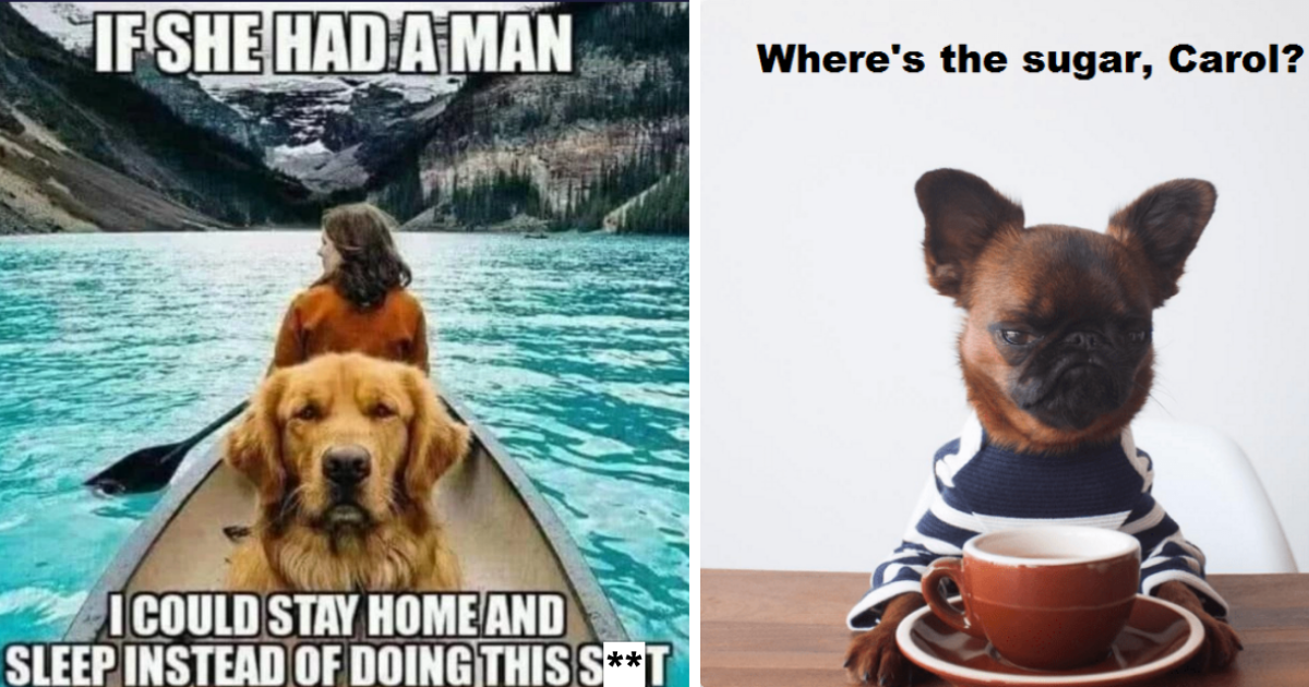 22 Grumpy Dog Memes For The Oscar The Grouches Who Woke Up On The Wrong Side Of the Dog Bed ...