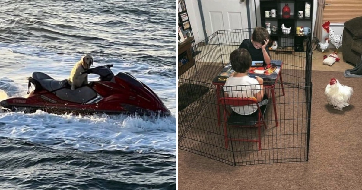 Make It Make Sense - 23 Reality Questioning Animal Pics That Aren't ...