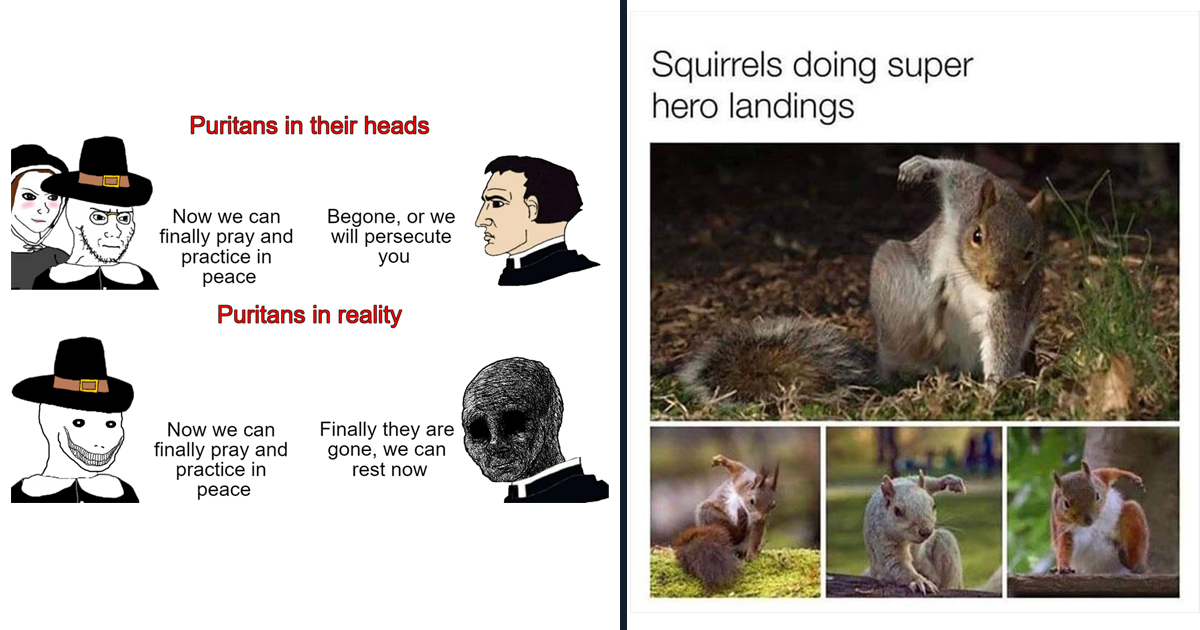 Meme Collection Tumblr