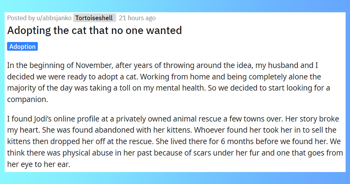 Reddit User Adopts 'The Cat That No One Wanted' And Shares Their ...