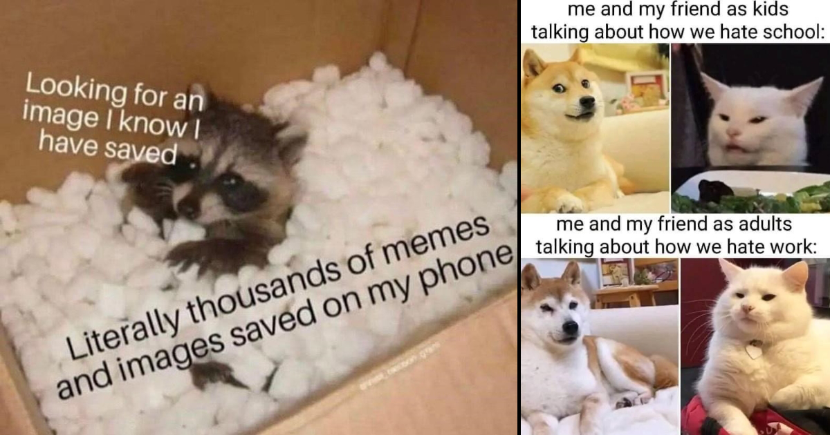 37 Memes Devoted to the Cause of Memery - Memebase - Funny Memes