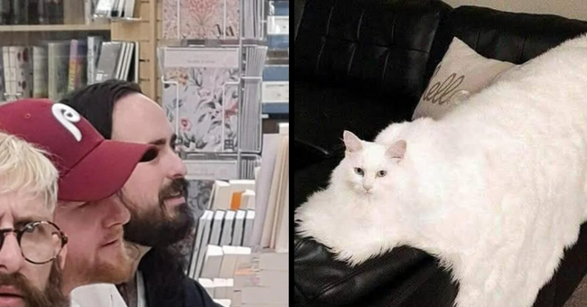 ‘I Spy With My Little Eye...’ : 20 Unusual and Confusing Perspectives ...