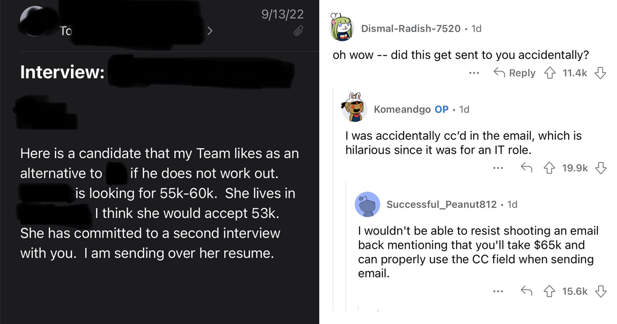 'Company got caught lowballing me': Director mistakenly CCs applicant ...