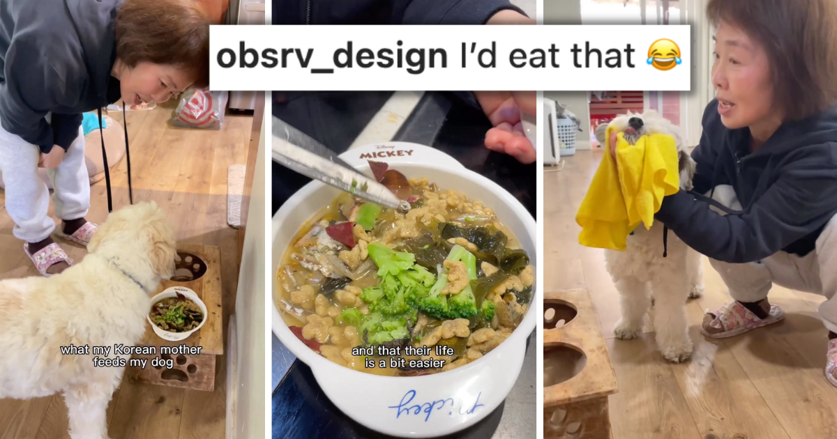 "My Mom Feeds My Dog Better Than She Fed Me": Video Of Korean Mom Who ...