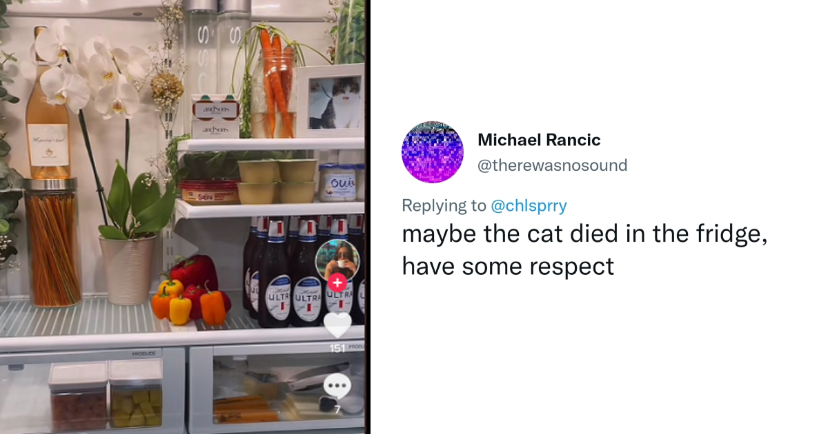 Lifestyle TikToker Gets Mocked for Bizarre Refrigerator Makeover ...