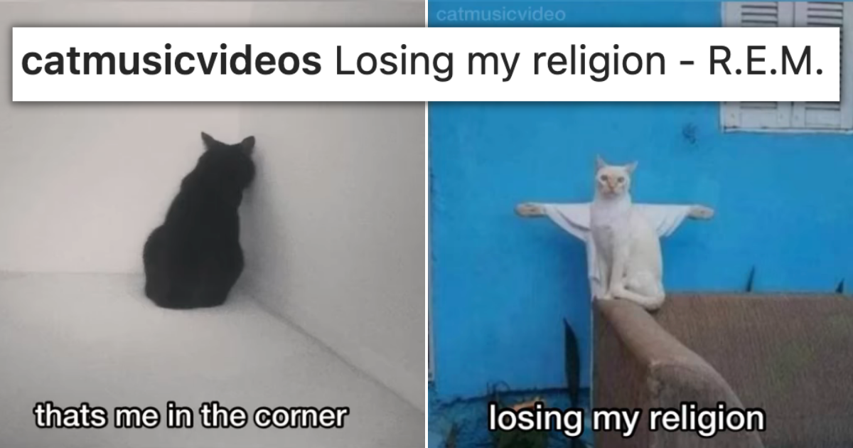 "Losing My Religion" by R.E.M. Featuring Lyrically Accurate Cat Memes ...