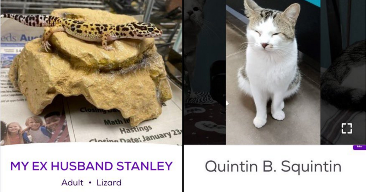 Sassy Twitter Account Tweets Hysterically Accurate Names For People's ...