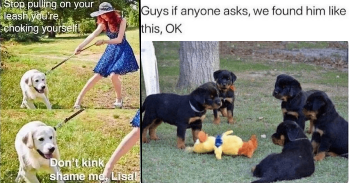 Doggie Dump of Dopamine To Ride Until The End Of The Work Week ...