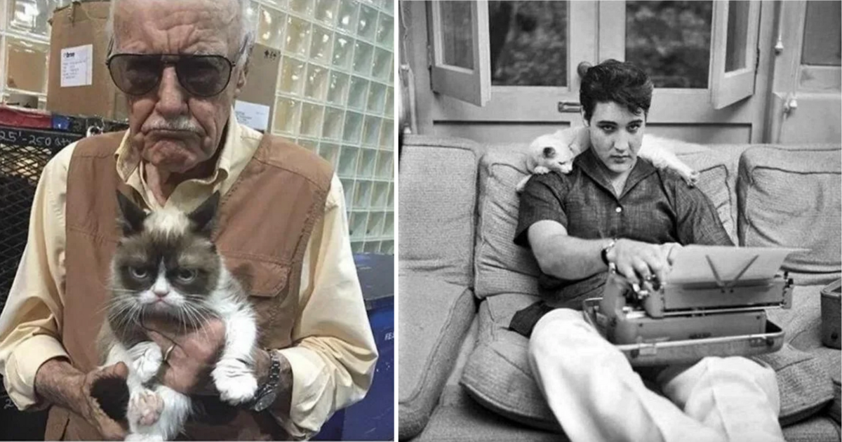 27 Celebrities With Cats Proving That Everyone Has The Potential To Be ...