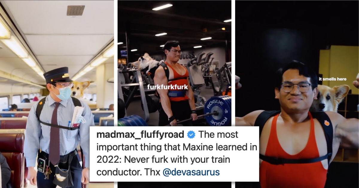 Maxine "The Backpack Corgi" Goes On a Heavy Adventure With Her New ...