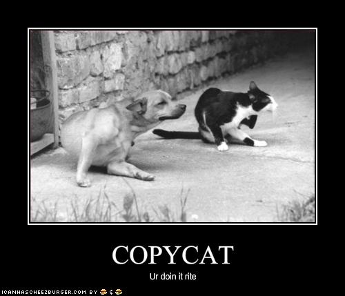 COPYCAT - I Has A Hotdog - Dog Pictures - Funny pictures of dogs - Dog ...