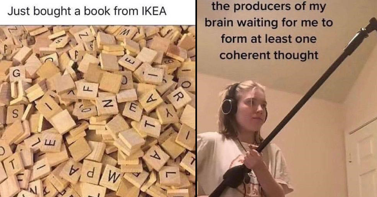 Funny Internet Memes