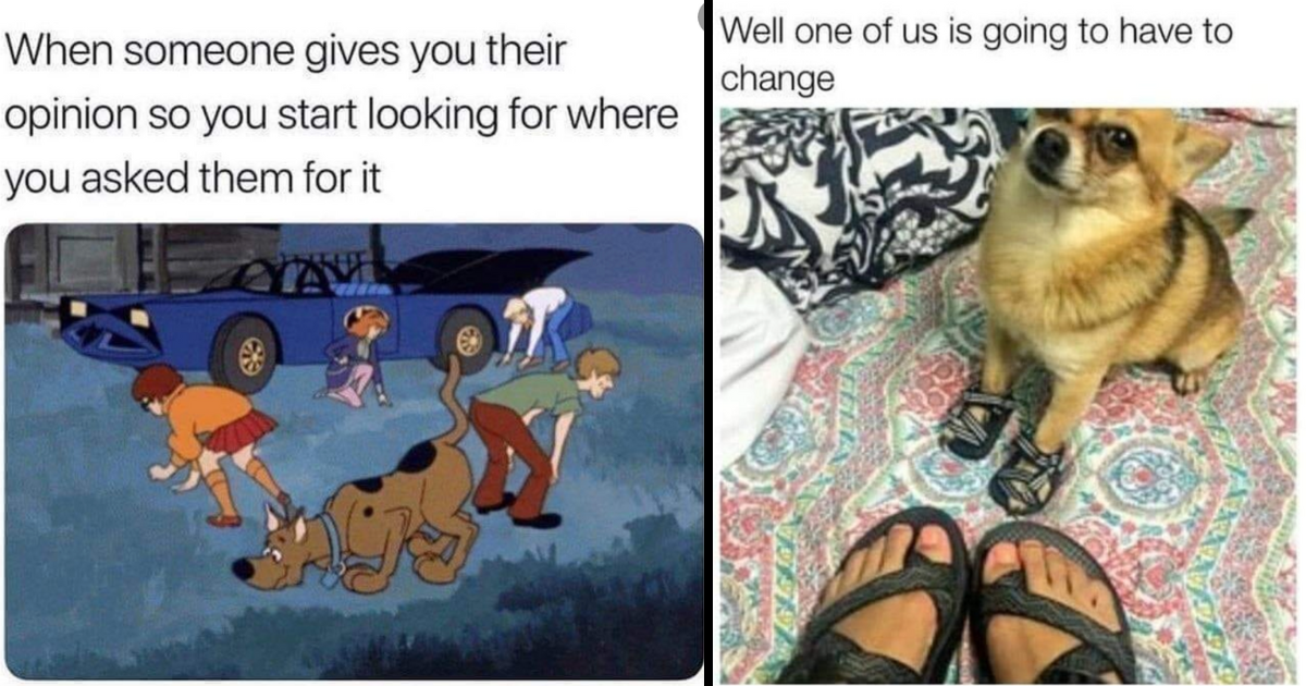 27 Grumpy Animal Memes For All The Grouches On Monday Morning - Animal ...