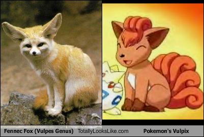Totally Looks Like Pokemon