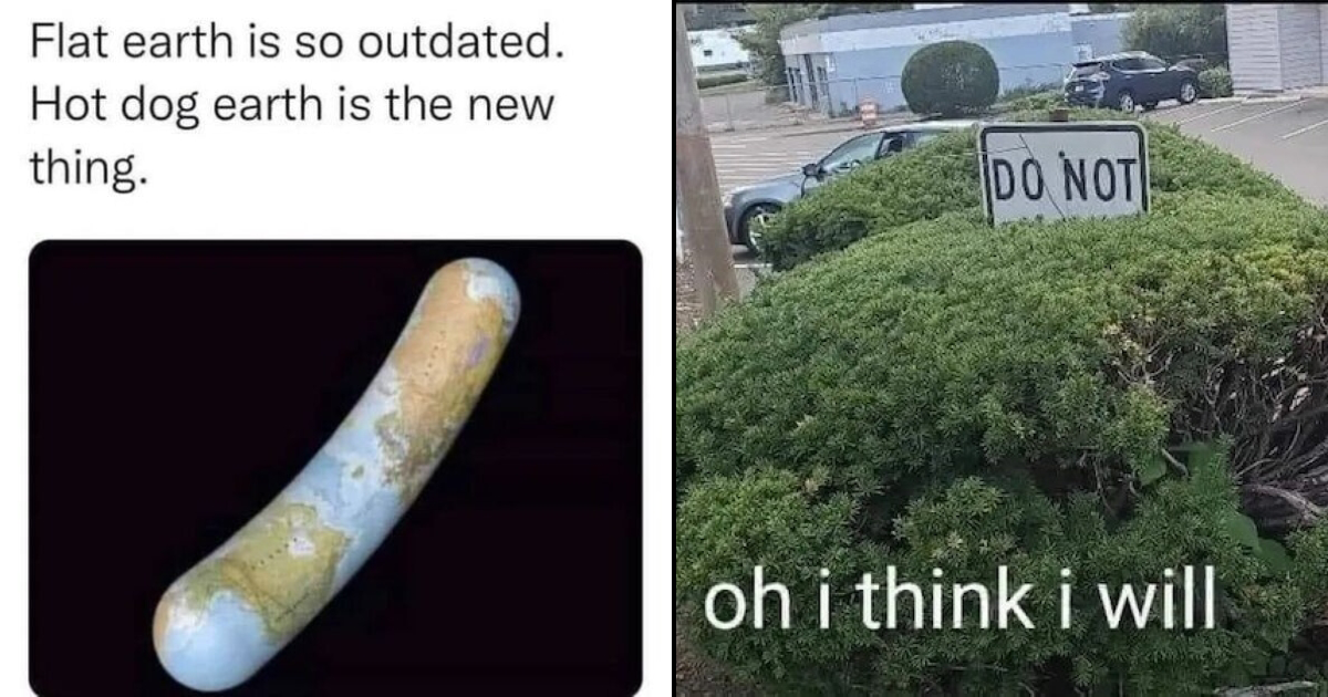 Random Memes to Thwart Best Efforts - Memebase - Funny Memes