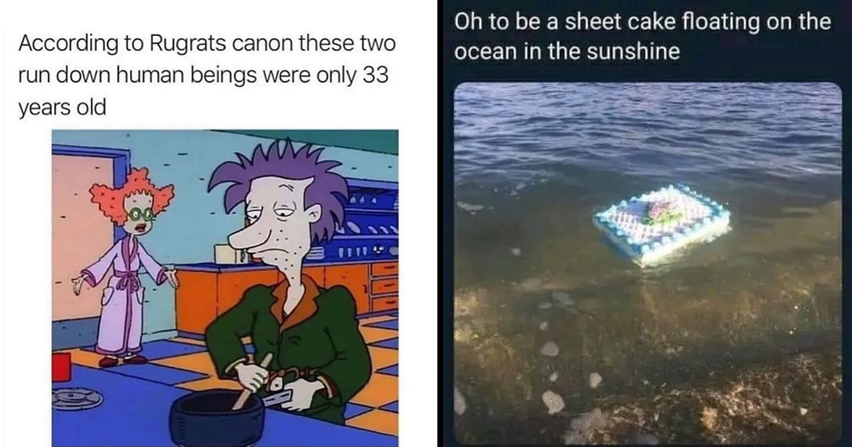 A Luxurious Bundle of 31 Memes - Memebase - Funny Memes