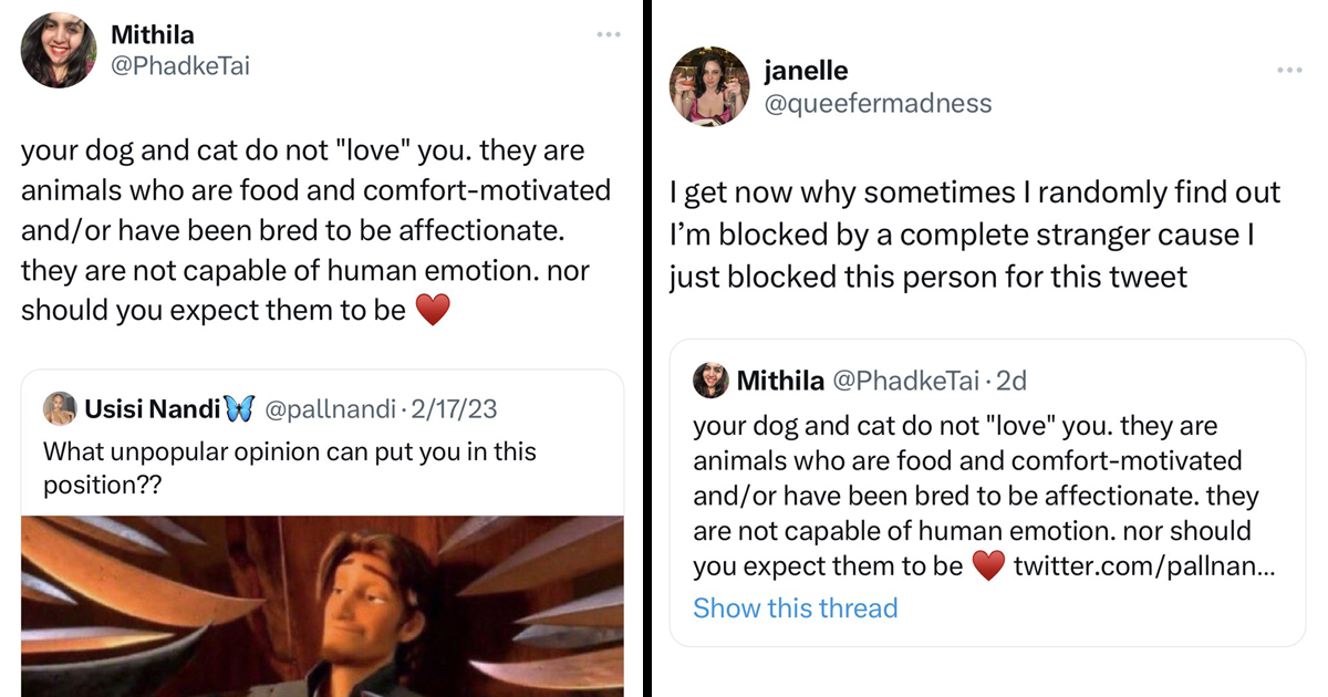 'Your dog and cat do not love you': Bad Twitter Take Sparks Ire and ...