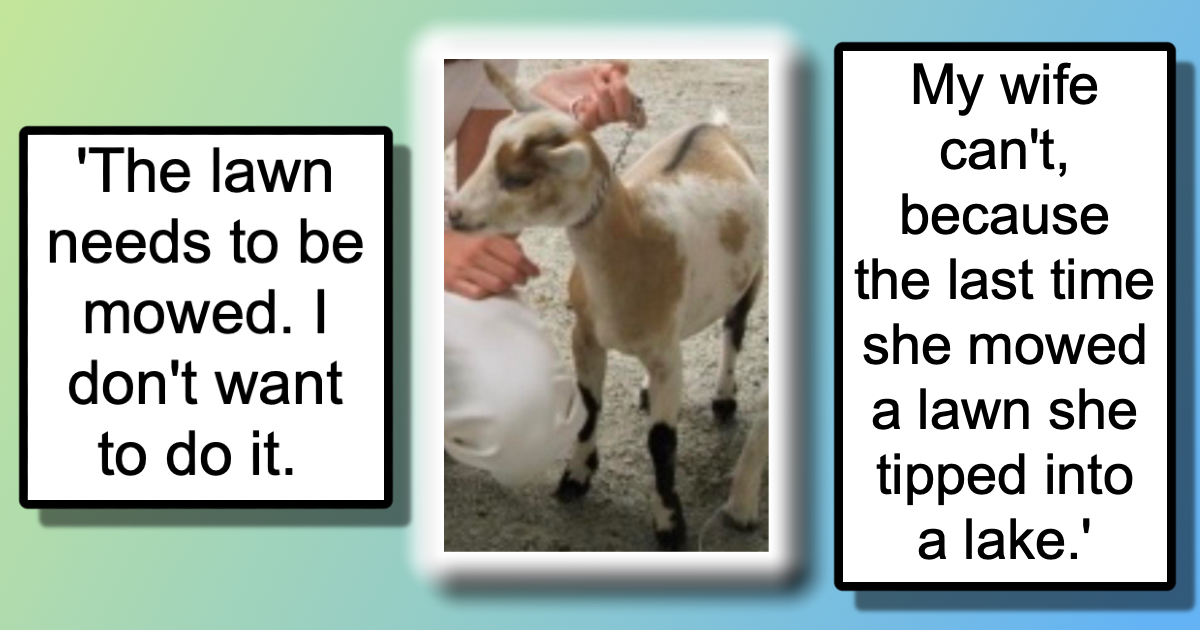 'I didn't expect her to react so negatively': Husband's HOA-compliant ...