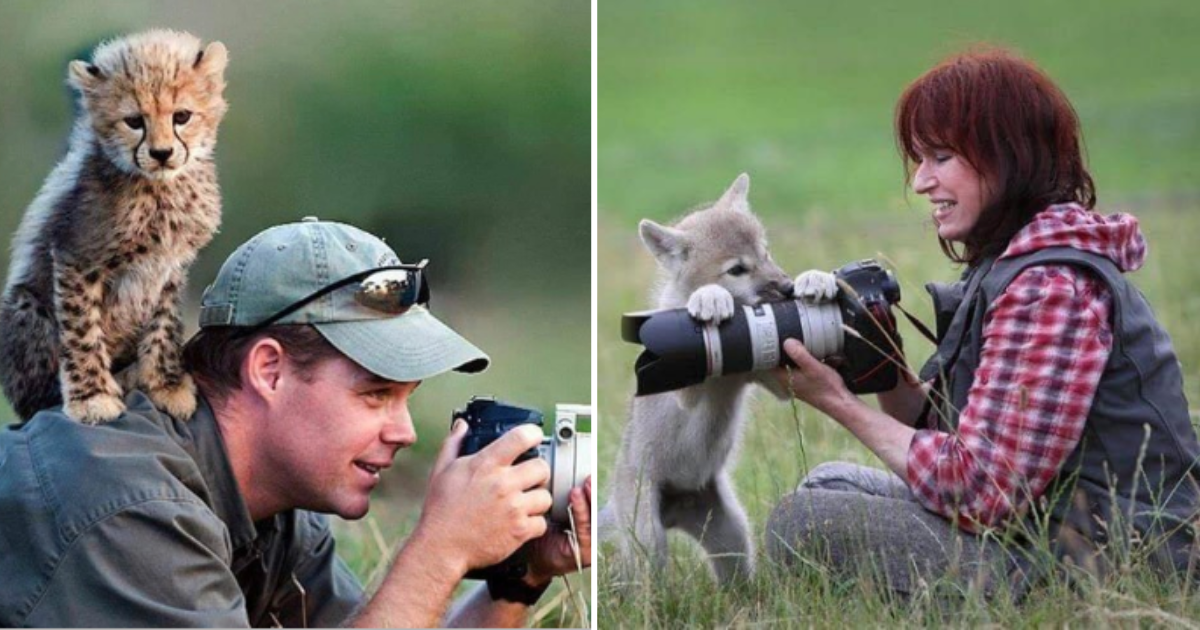 36 Times Animals Adorably Bonded With Wildlife Photographers And ...