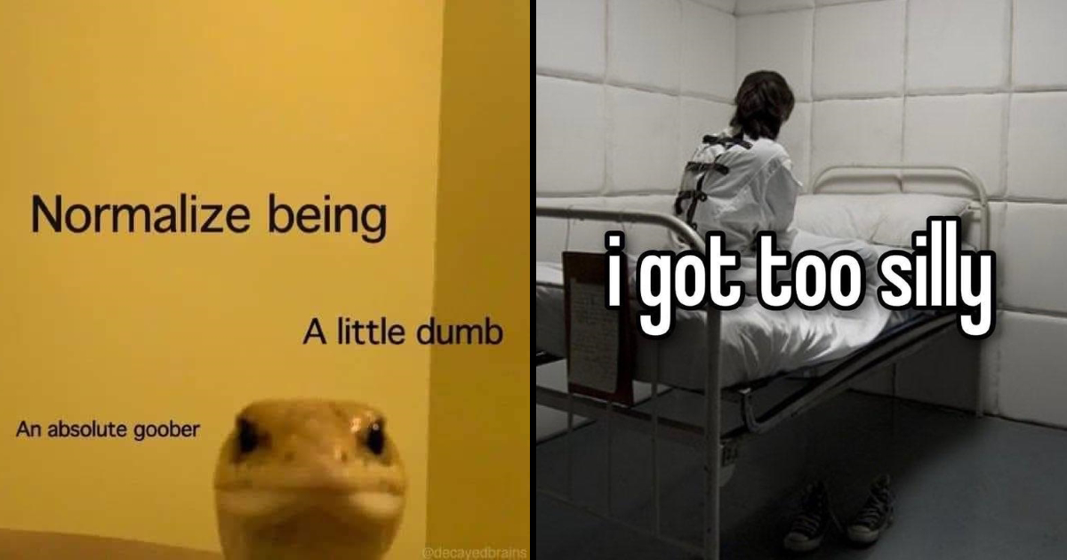 Excess Memes Sluiced From Different Corners of the Internet - Memebase ...