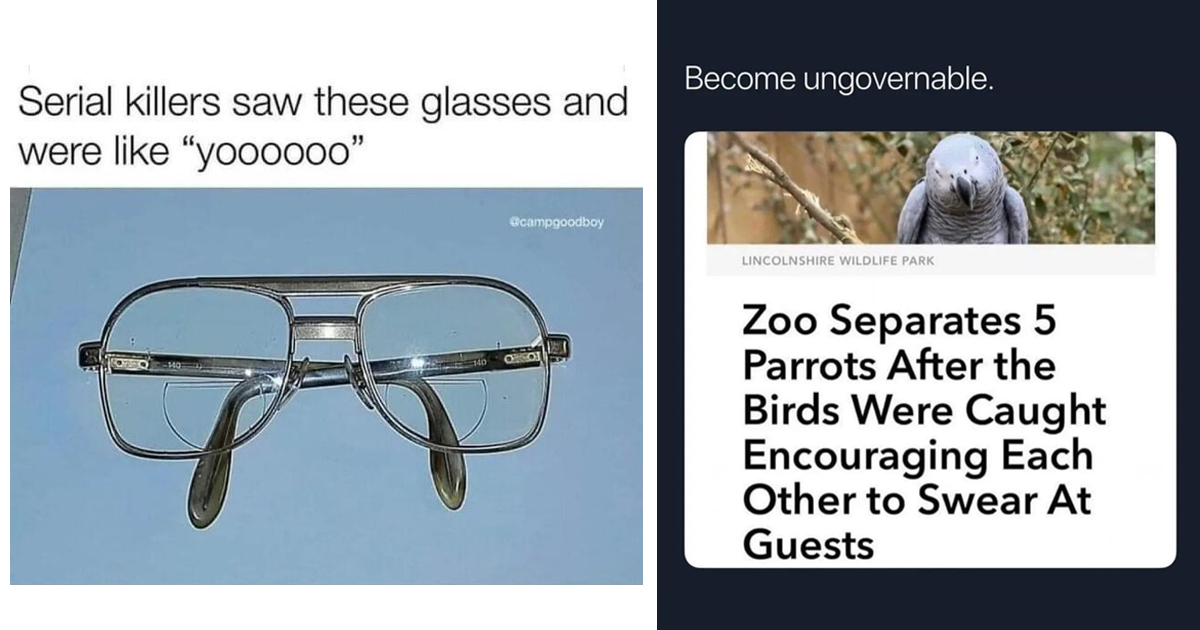 Meaningless Memes For Meandering Minds - Memebase - Funny Memes