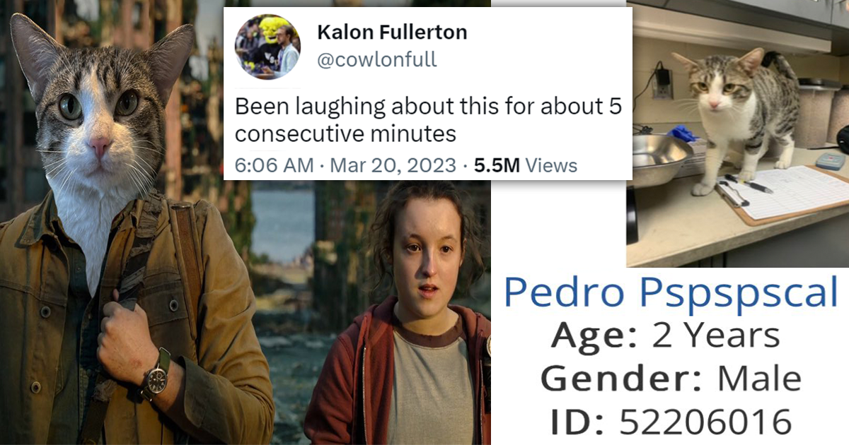Meet Pedro Pspspscal, The True Star Of 'The Last Of Us' Who Went Viral ...