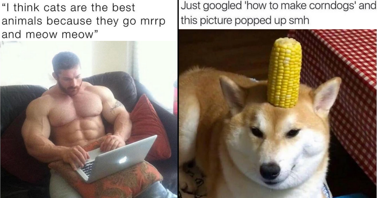 28 Absurd Animal Memes That 100% Pass The Vibe Check This Week (April 4 ...