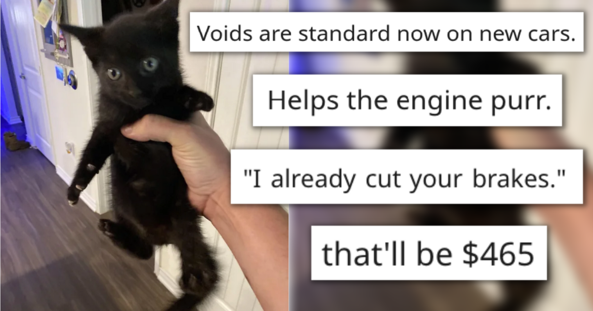 'Congrats On Your New Cat!': Man Finds Tiny Kitten Hiding In His Car ...