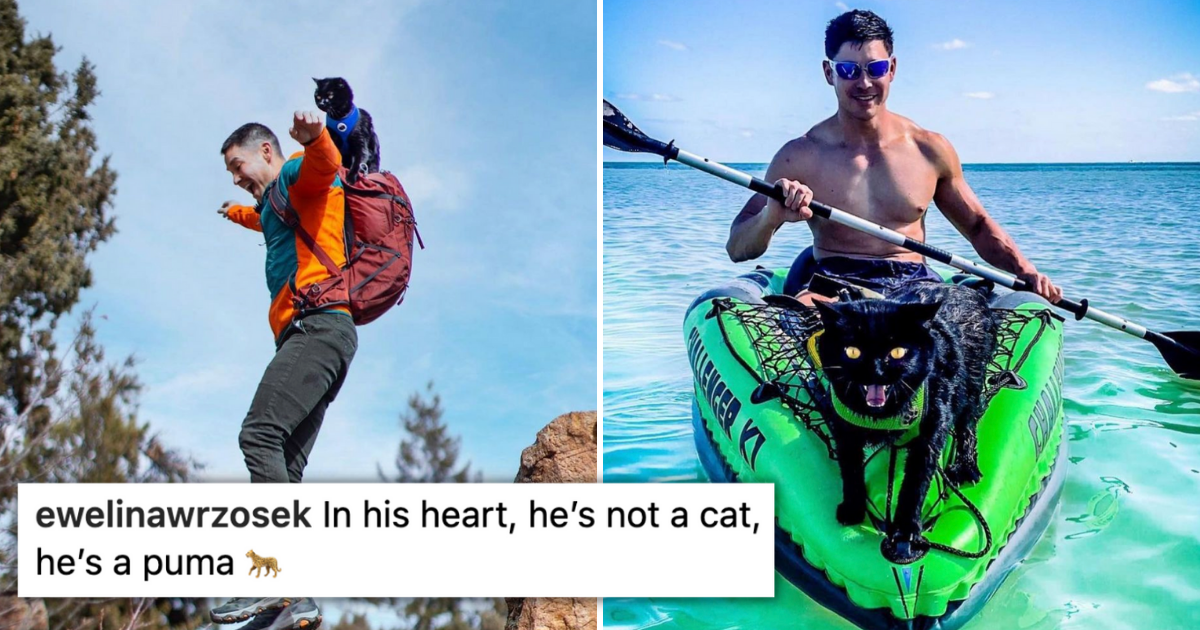 From Trails to Tuna Treats: Meet Simon, the Adventure Cat Who Loves ...
