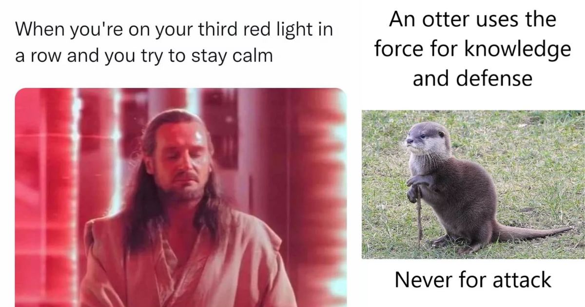 Galactic Giggles: 25 Star Wars Memes That Will Force a Laugh Out of You ...