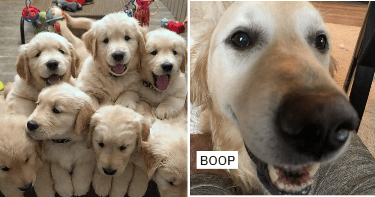 16 Golden Goodies Blessing Your Timeline Before The Work Week Starts ...