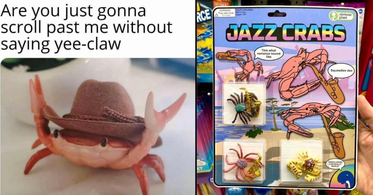 Feeling Crabby? 35+ Best Crab Memes That Should Be Served With A Side of Melted Butter - Animal ...